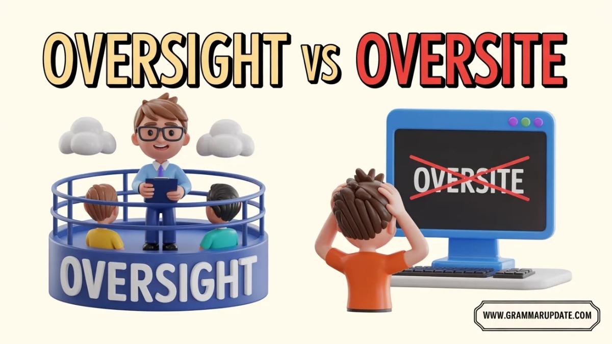 Oversight vs Oversite Differences and Usage - Grammar Update