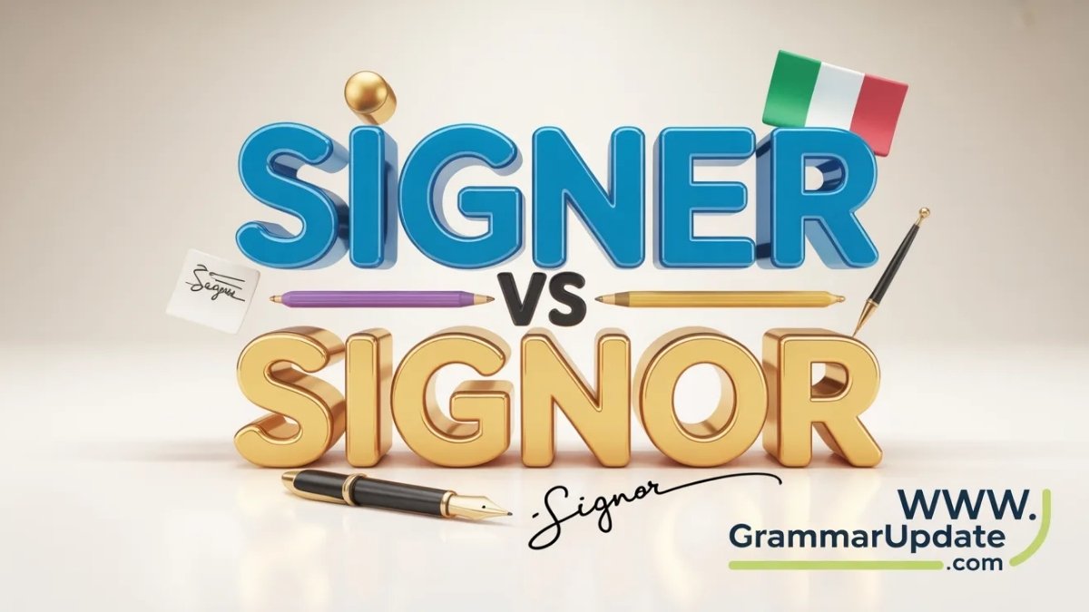 Signer vs Signor Difference and Correct Usage - Grammar Update
