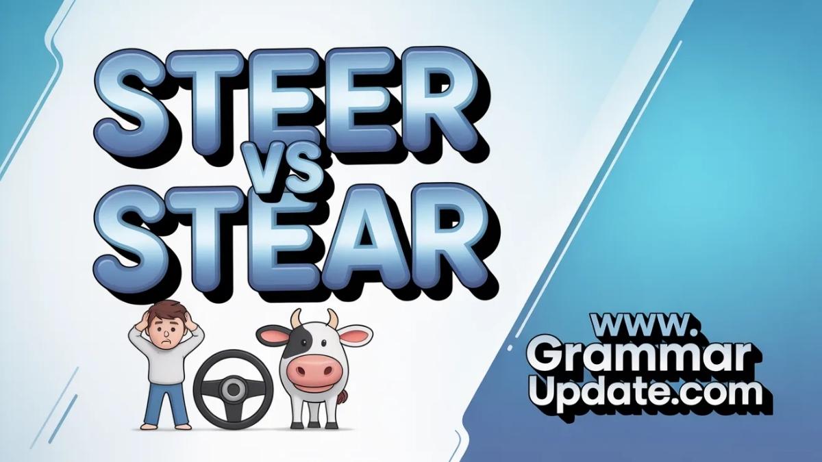 Steer vs Stear Spelling Mistake and Usage - Grammar Update