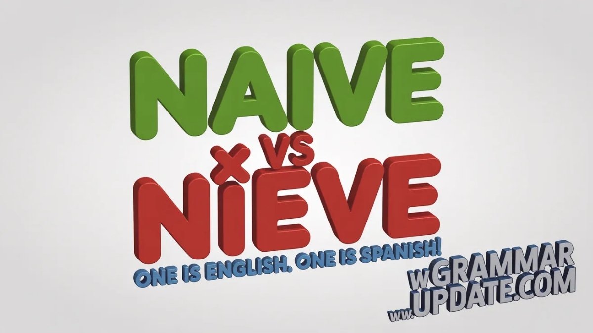 Naive vs Nieve, Which Spelling Is Correct and Usage? - Grammar Update